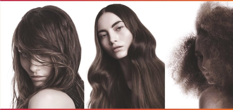 Les ambassadeurs Biblond et leurs réalisations préférées